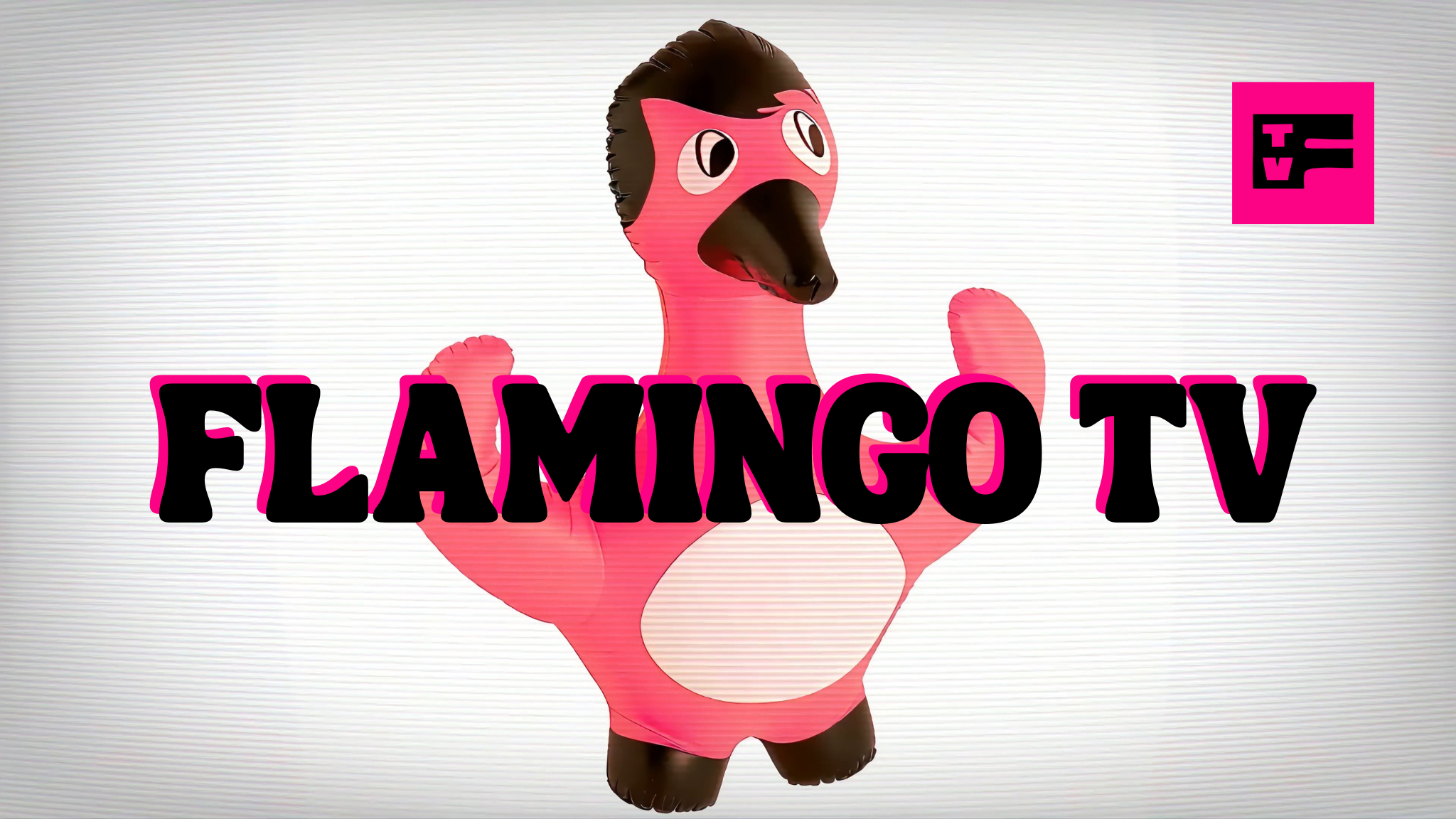 Flamingo TV | Rad TV